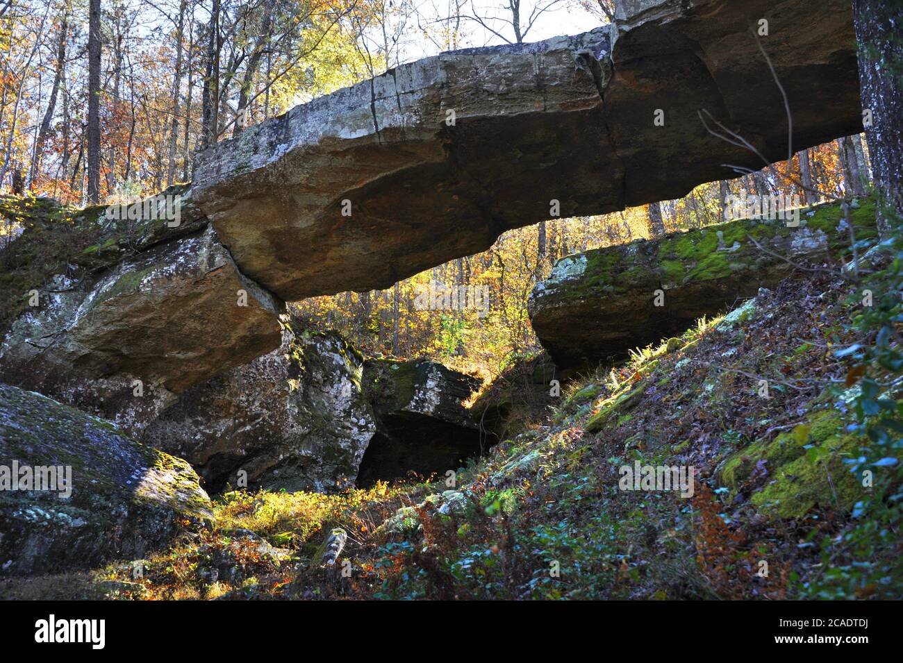 Arching natural bridge, in North Arkansas, is surrounded by Autumn and ...