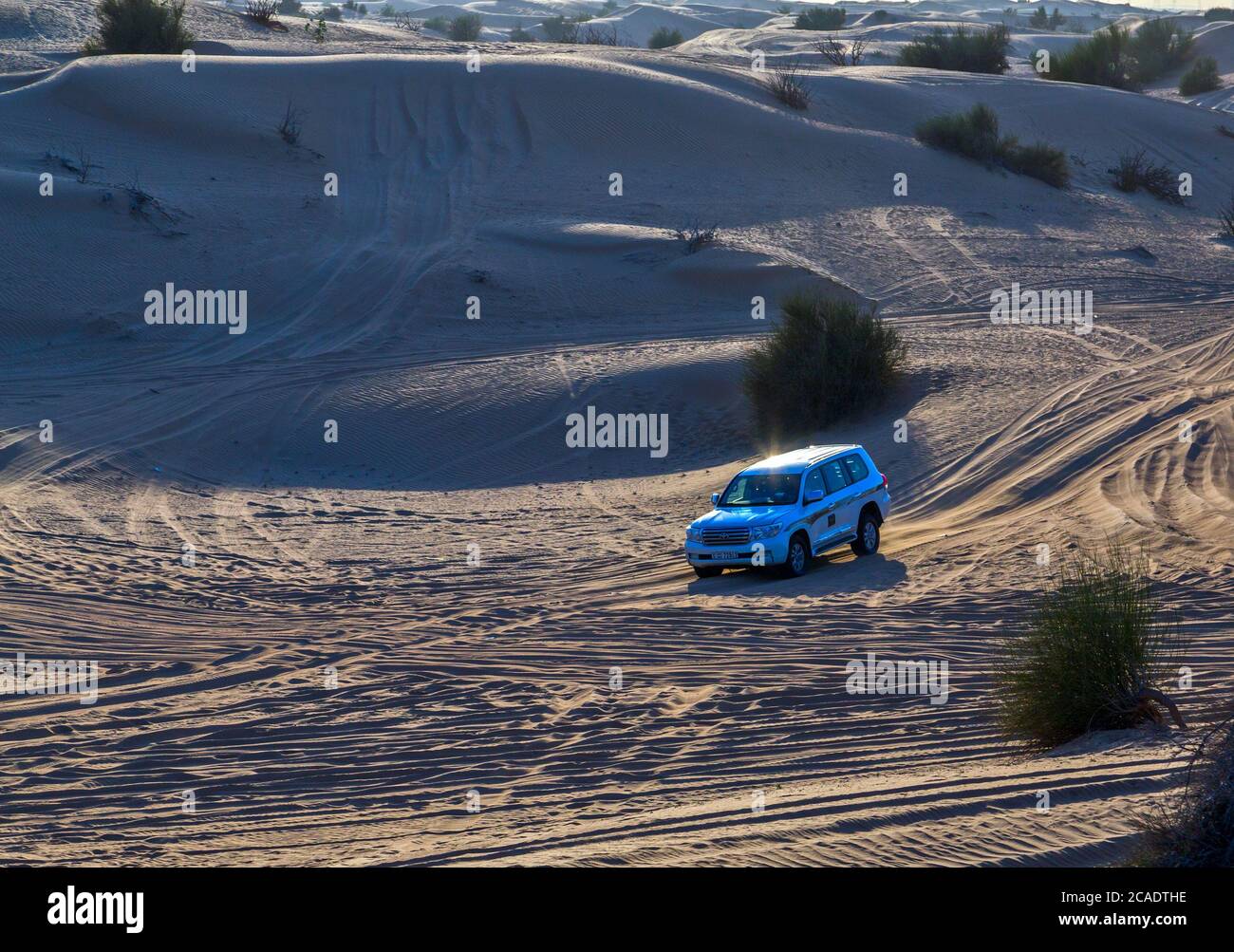 DUBAI, UNITED ARAB EMIRATES - JANUARY 25, 2016: Safari Toyota rally off ...