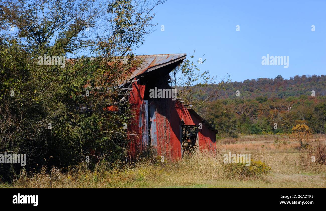 Abandoned barn in field arkansas hi-res stock photography and images ...