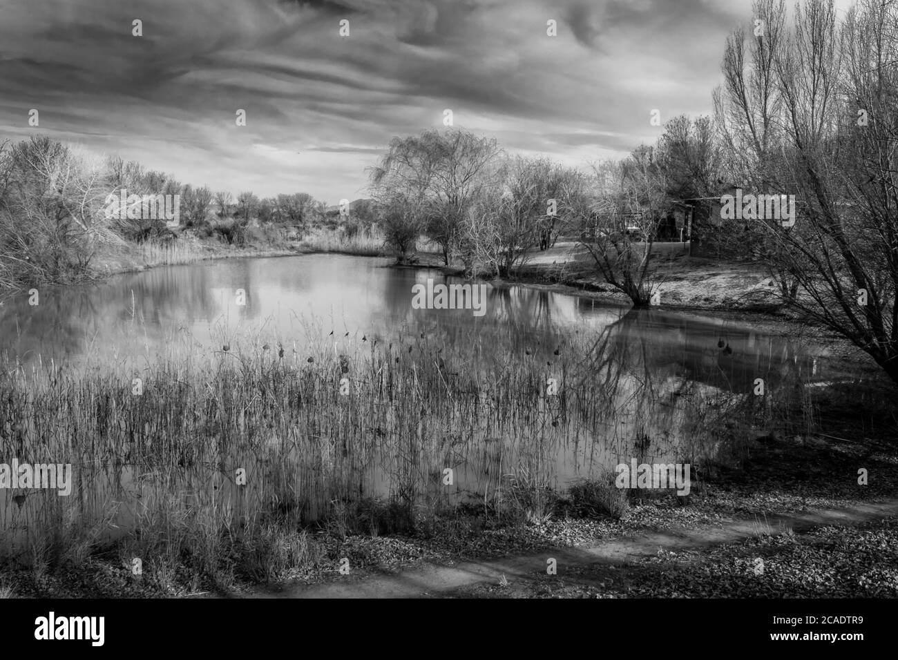 Lake fall reflection park foliage Black and White Stock Photos & Images ...