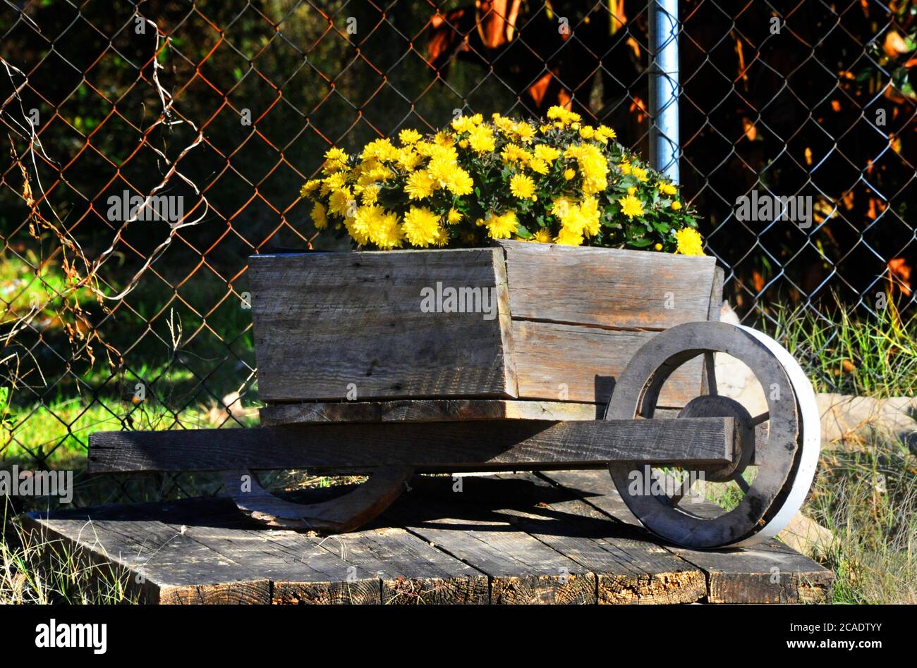 Wooden wheel barrow hi-res stock photography and images - Alamy