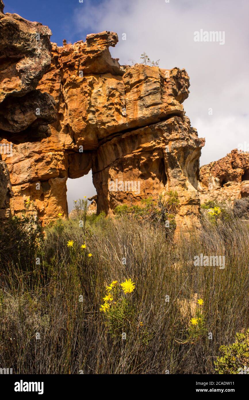 Weathered sandstone formations surrounded by yellow wild flowers at the ...