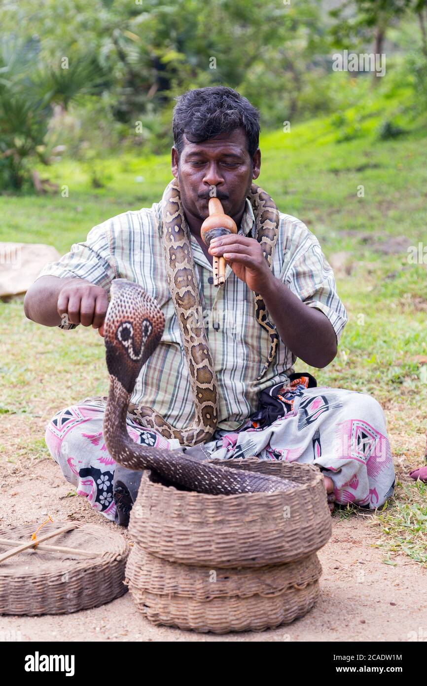 Sadhu and his musical instrument hi-res stock photography and images ...