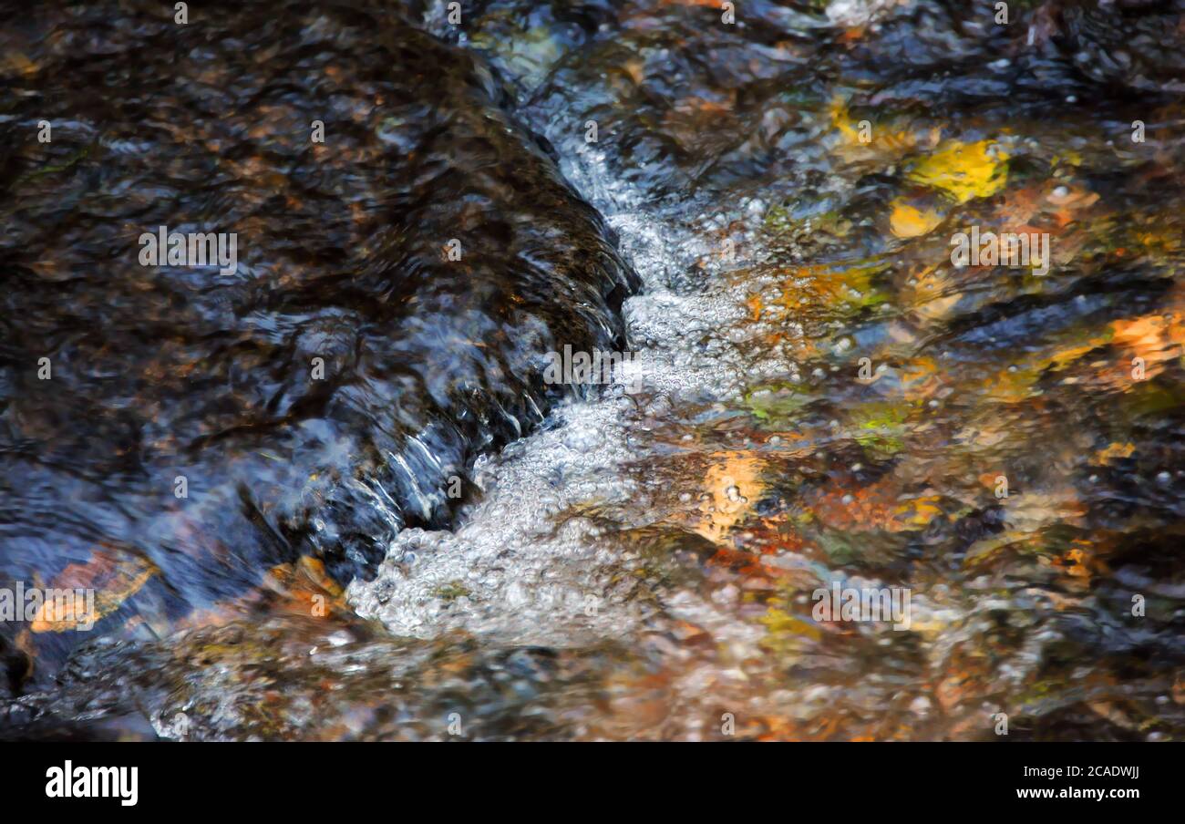 Gentle flow of spring water flows over Autumn leaves in Withrow Springs ...