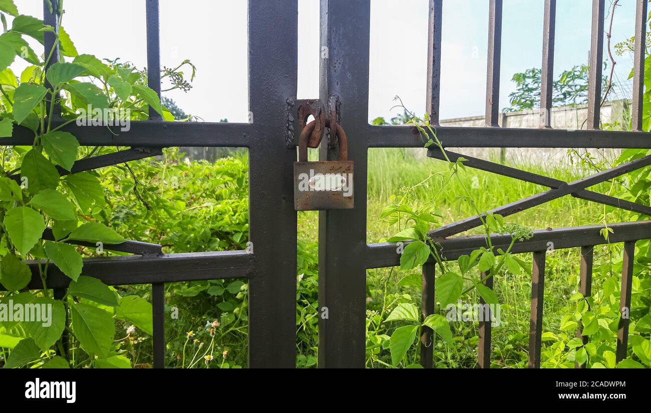 Closed Iron Gate with lock. Padlock on Iron Gate Stock Photo - Alamy