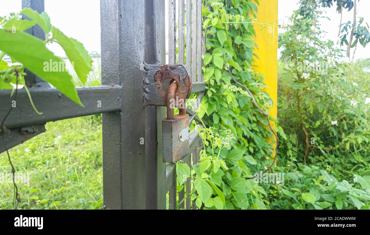 Closed Iron Gate with lock. Padlock on Iron Gate Stock Photo - Alamy