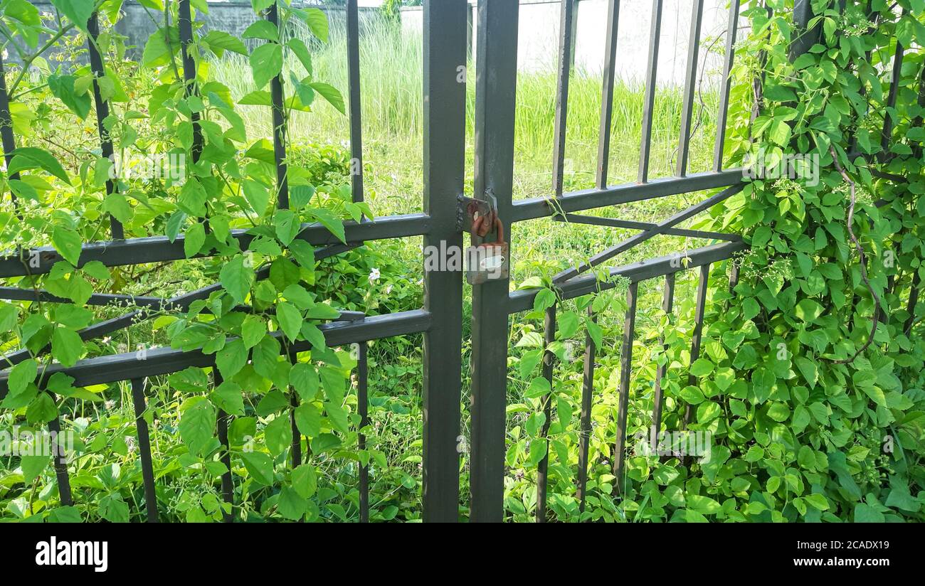 Closed Iron Gate with lock. Padlock on Iron Gate Stock Photo - Alamy