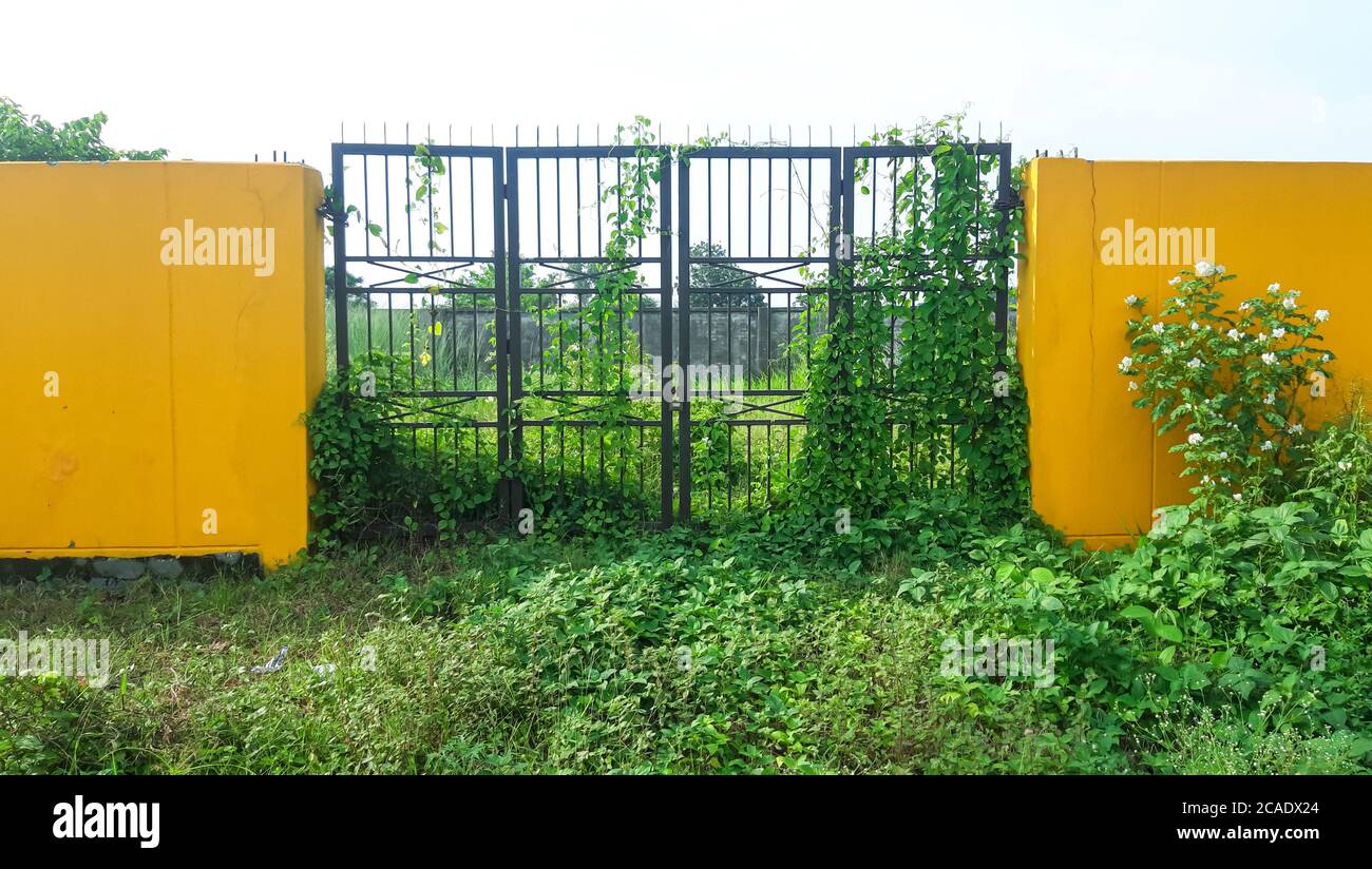 Closed Iron Gate with lock. Padlock on Iron Gate Stock Photo - Alamy