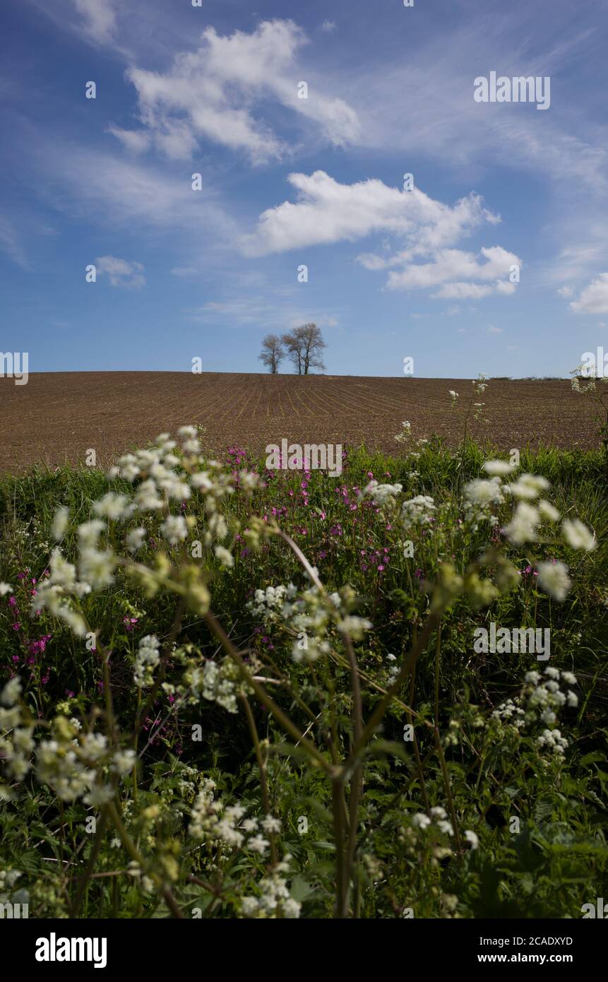 Hoath kent hi-res stock photography and images - Alamy