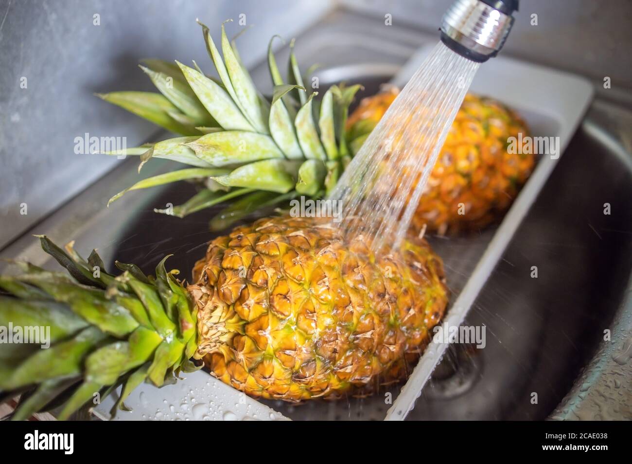 two ripe and juicy pineapples are washed under the tap in the sink ...