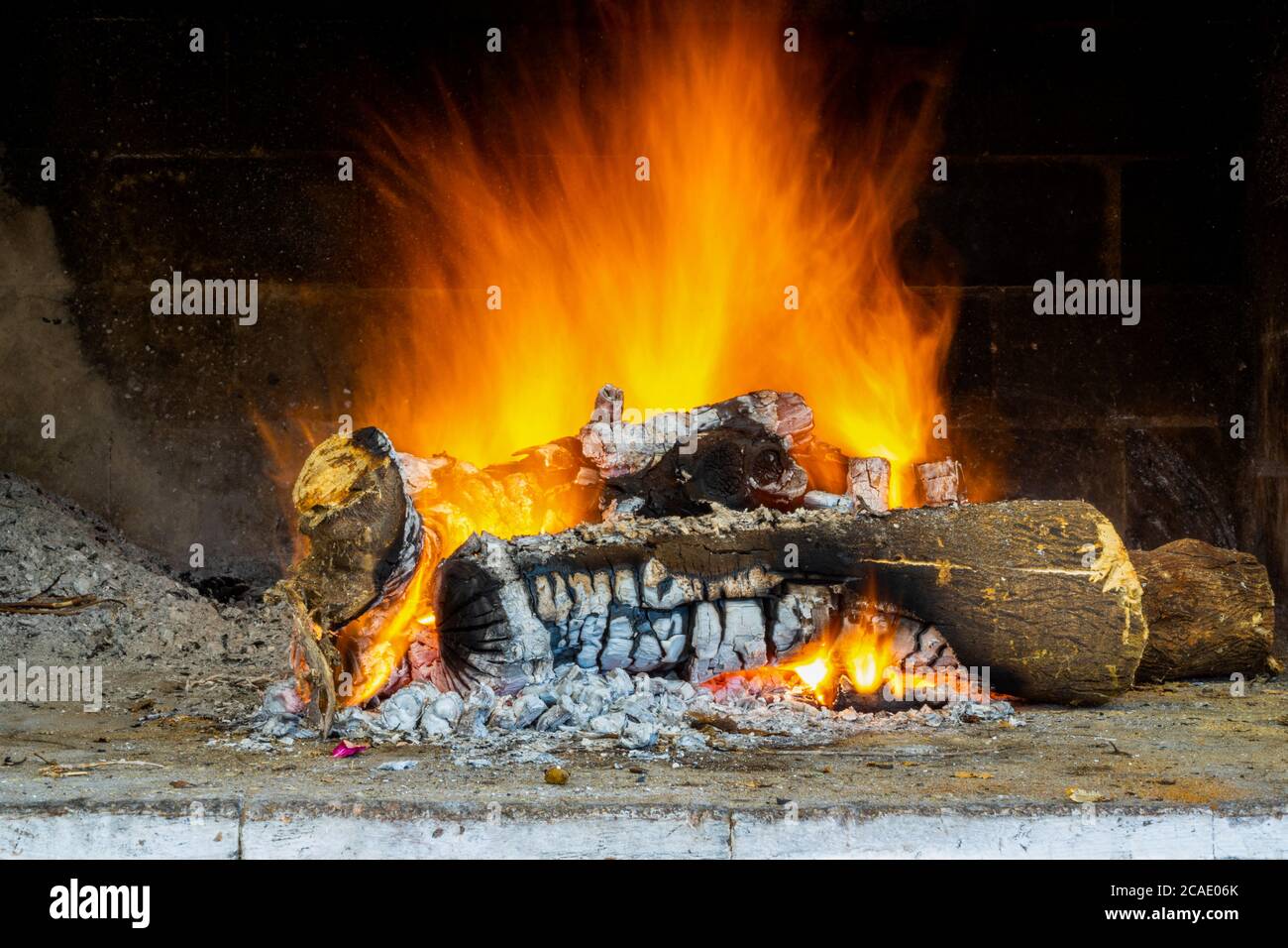 Flames in different forms of a bonfire made with orange tree trunks in ...