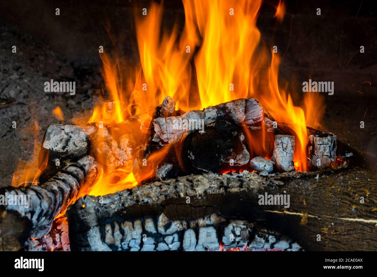 Flames in different forms of a bonfire made with orange tree trunks ...