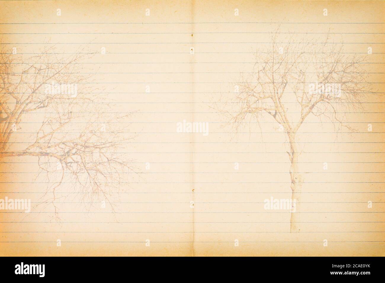 Grunge old page from notebook background Stock Photo - Alamy