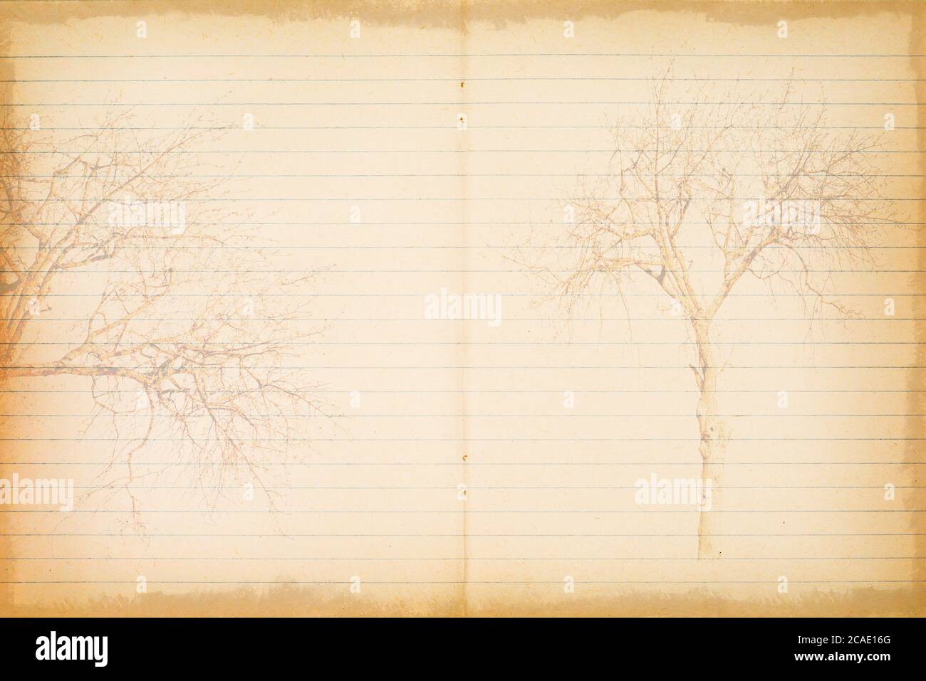 Grunge old page from notebook background Stock Photo - Alamy
