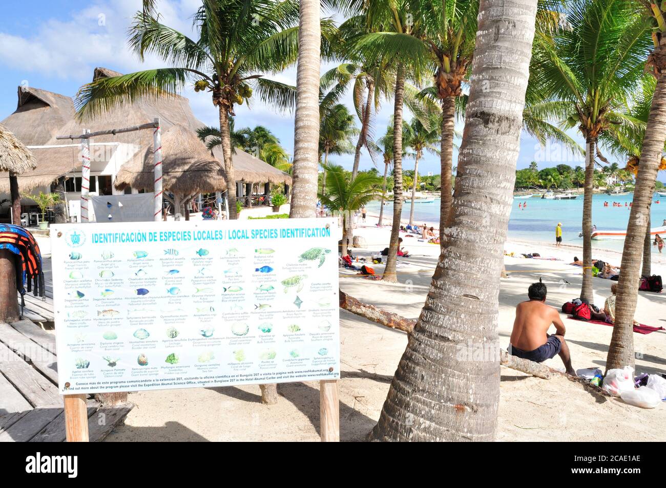Information board on the beach - local species identification, living ...