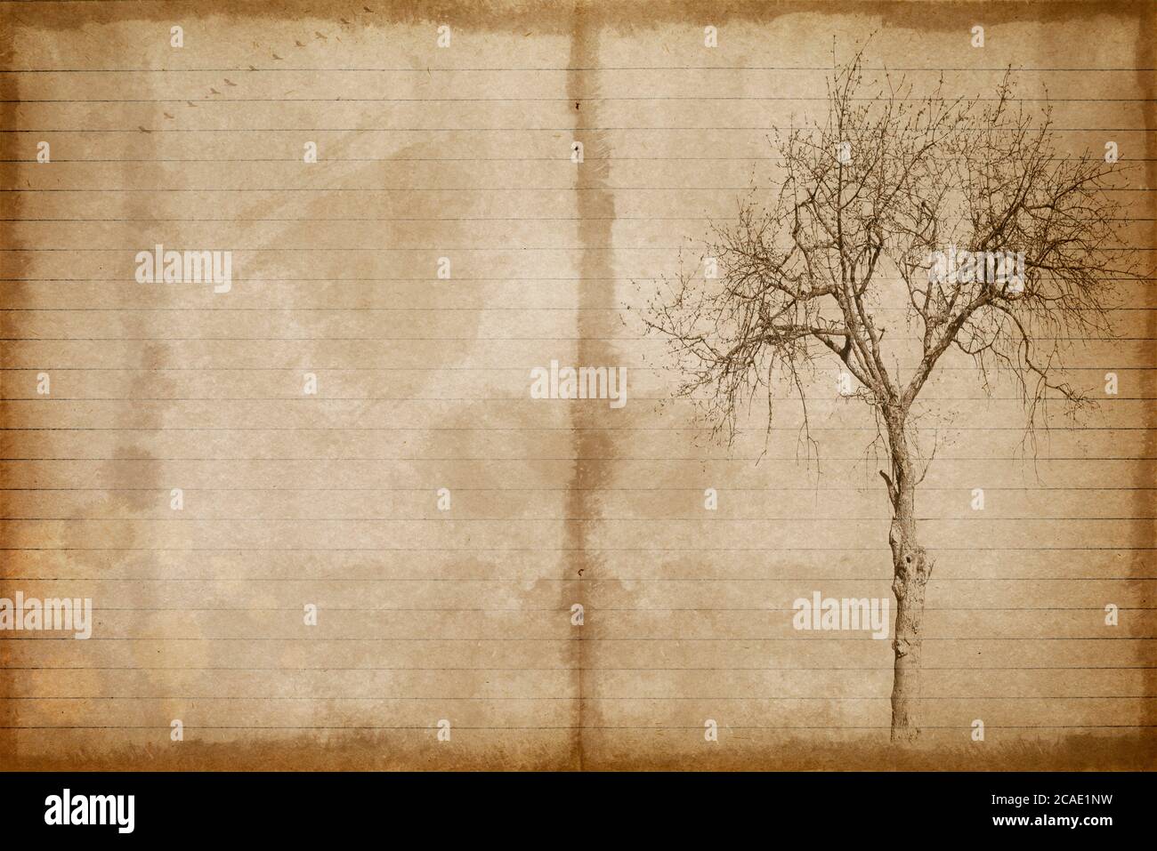 Open page from ancient hi-res stock photography and images - Alamy