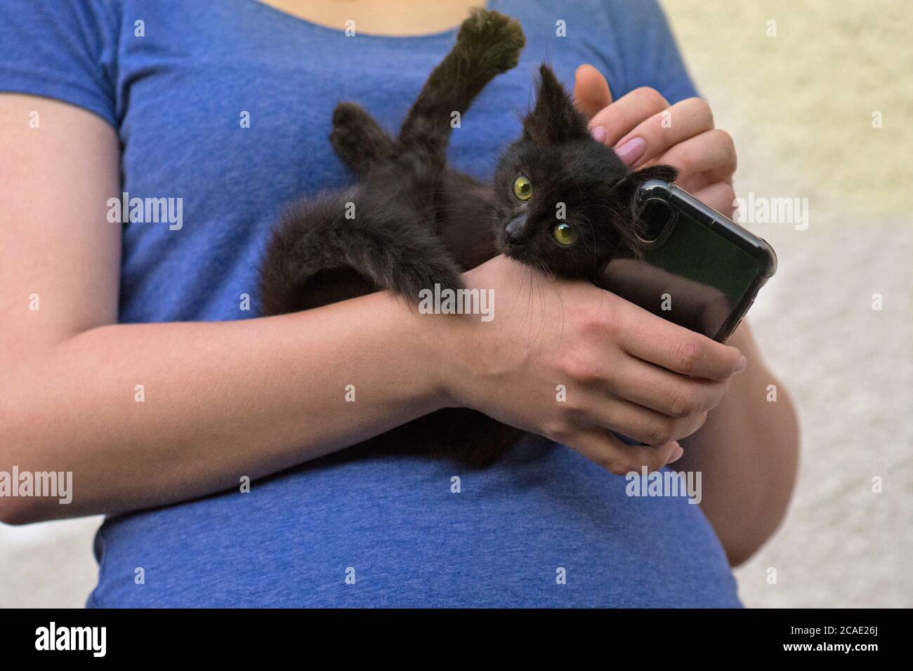 Woman plays with kitten. Cute amazing kitten. Portrait of cute pretty ...