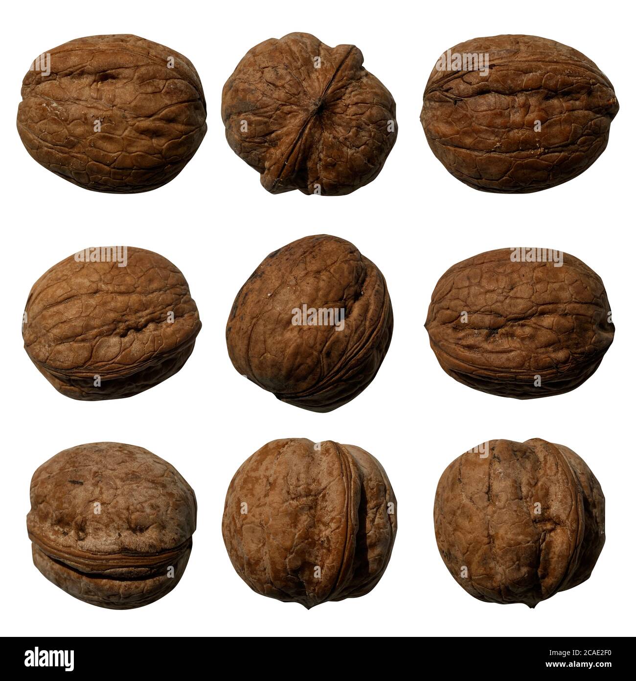 set of dried walnuts on a white isolated background Stock Photo - Alamy