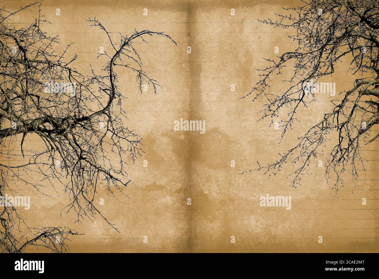 Grunge old page from notebook background Stock Photo - Alamy