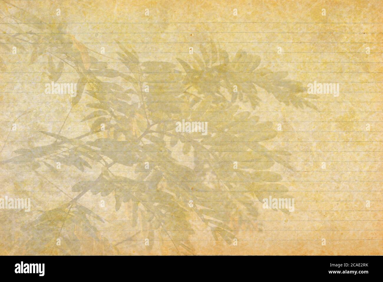 Rough old notebook texture hi-res stock photography and images - Alamy