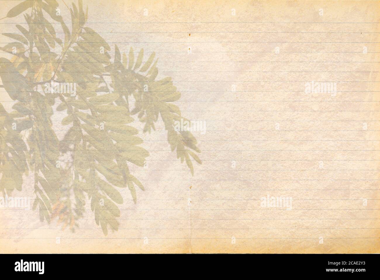 Grunge old page from notebook background Stock Photo - Alamy