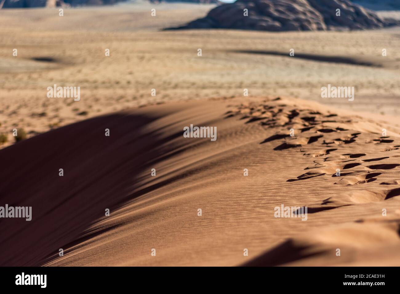 Human tracks hi-res stock photography and images - Alamy