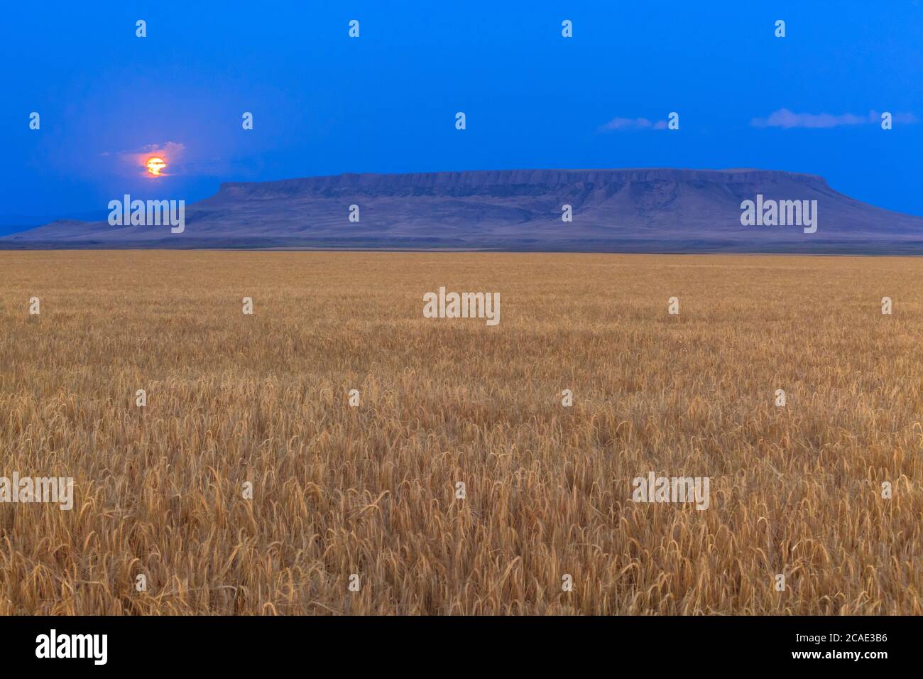 full moon setting behind square butte and wheat fields near ulm ...