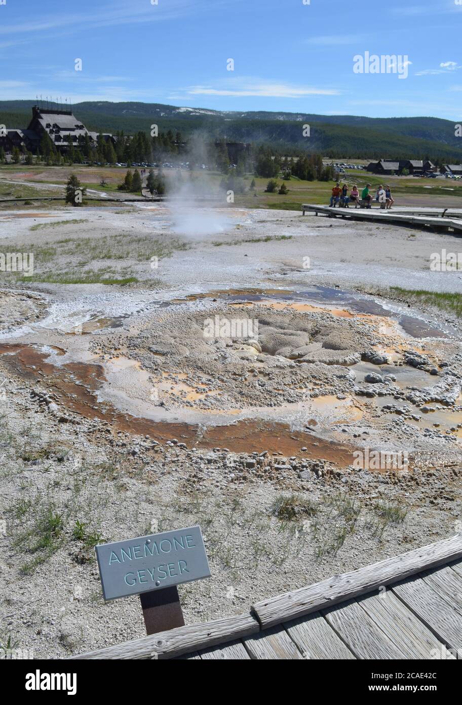 YELLOWSTONE NATIONAL PARK, WYOMING - JUNE 8, 2017: Anemone Geyser of ...