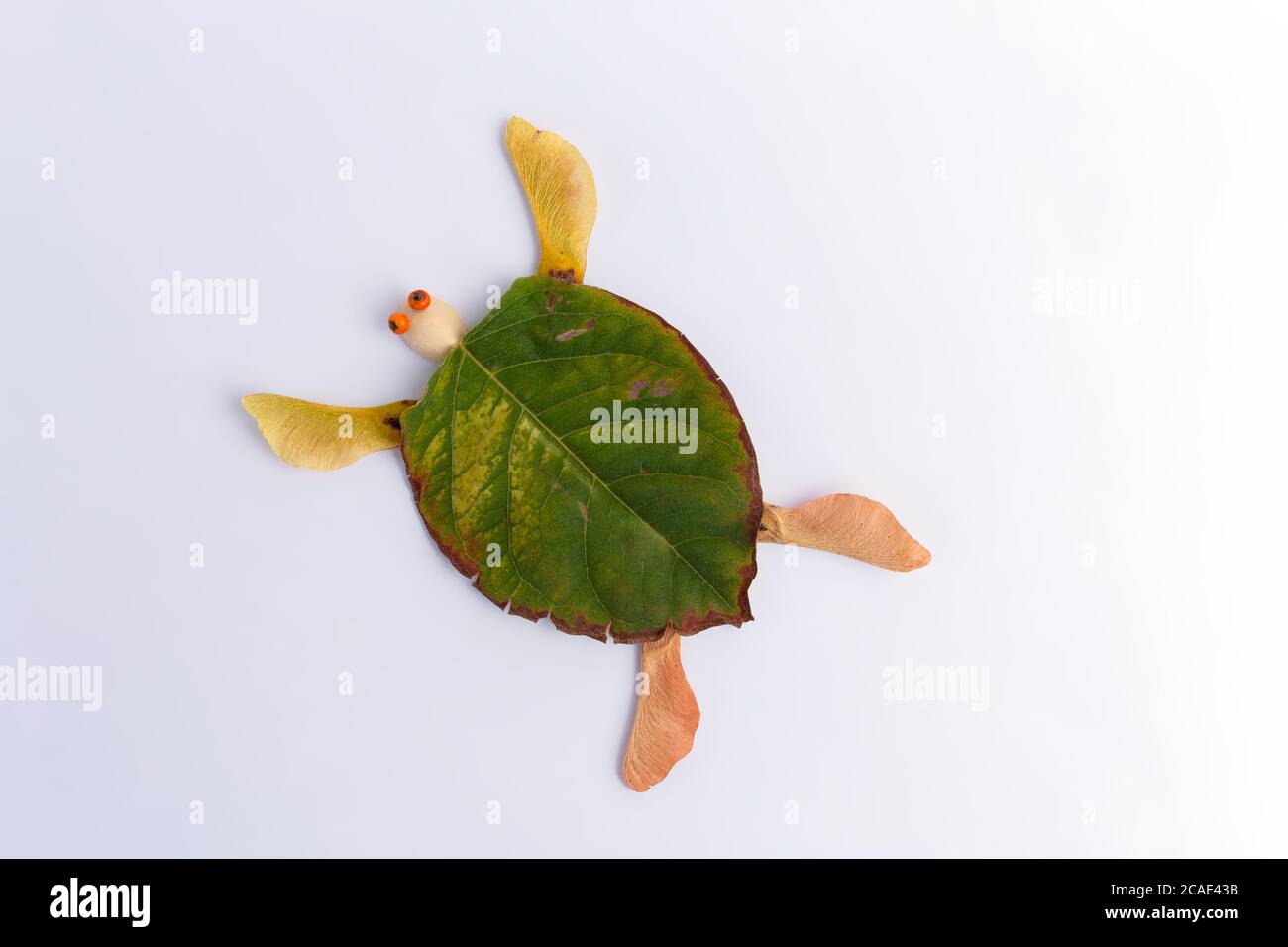 easy nature craft for kids, turtle made from leaves, ideas for autumn ...