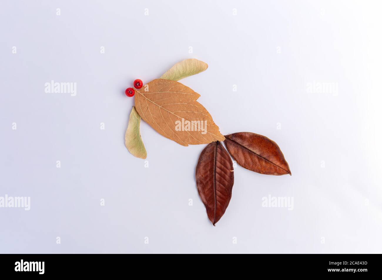 Fish art ideas hi-res stock photography and images - Alamy