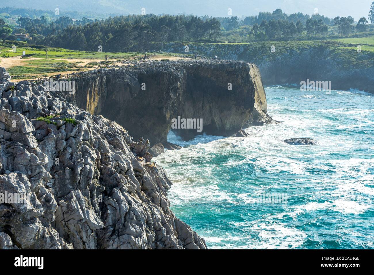 Cliff with forests and a blue sea during daytime Stock Photo - Alamy