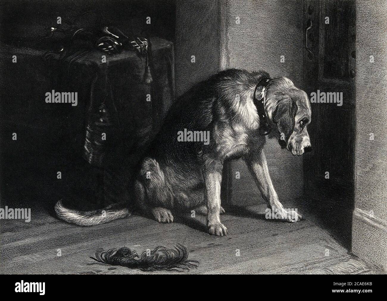 Intently drawing hi-res stock photography and images - Alamy