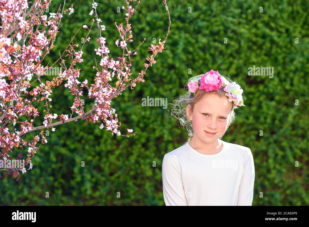 Embarrassed child hi-res stock photography and images - Alamy