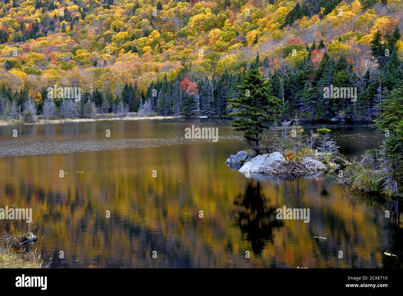 Vibrant autumn colors reflecting on calm surface of scenic Beaver Pond ...