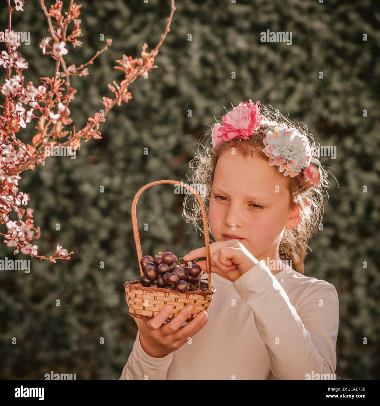 Little girl with basket of the first fruits during the Jewish holiday ...