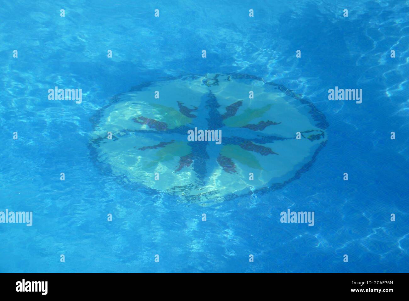 Compass sign on pool bottom Stock Photo - Alamy