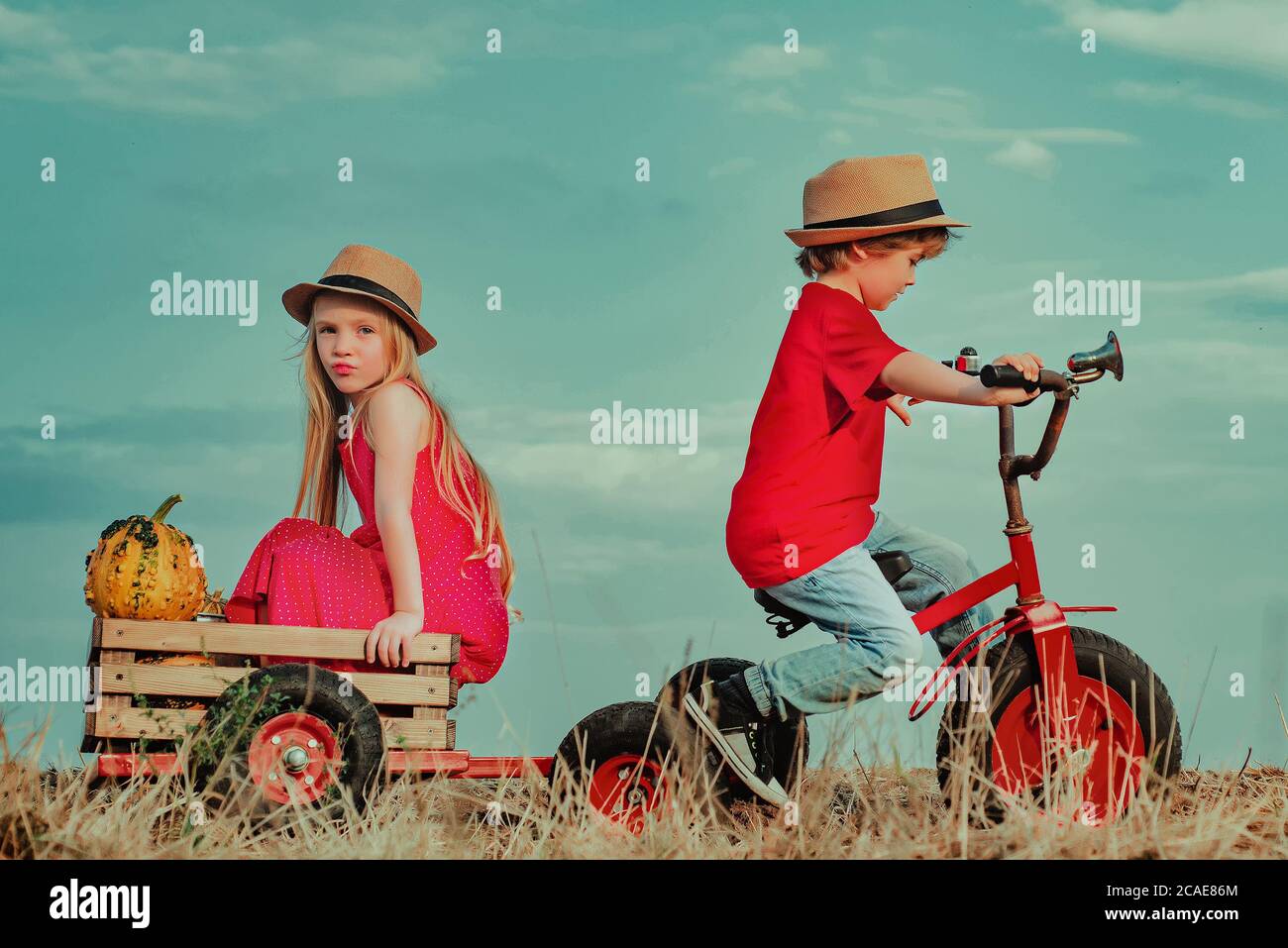 Kids working on farm outdoors. Sweet childhood. Sister and brother ...