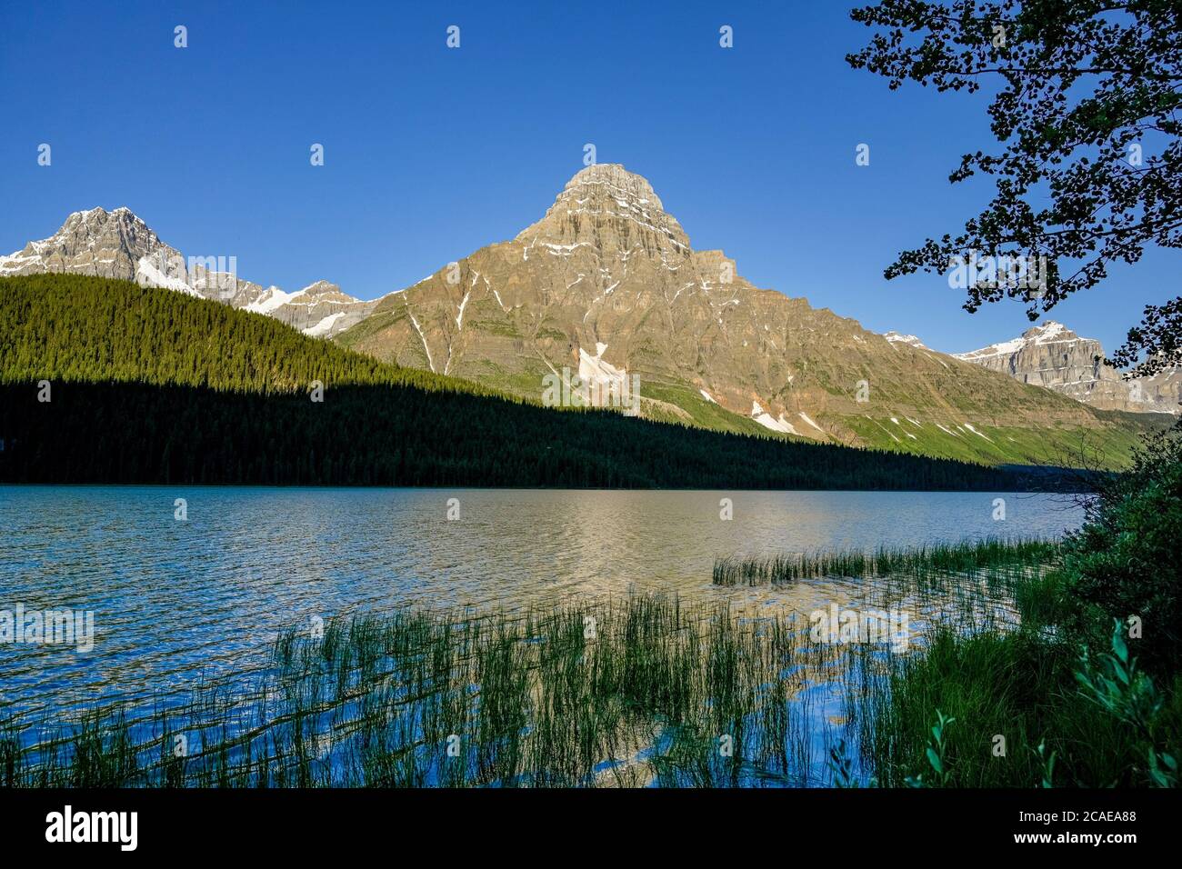 Mount Chephren, Waterfowl Lake, Banff National Park, Alberta Stock ...
