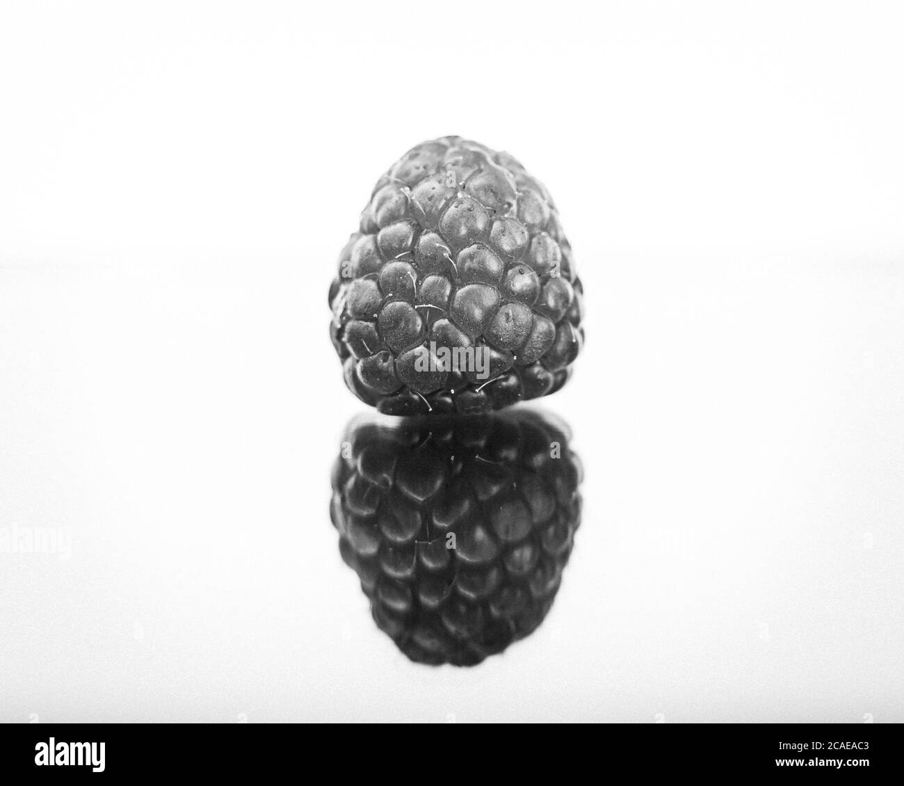 Black raspberry picture hi-res stock photography and images - Alamy