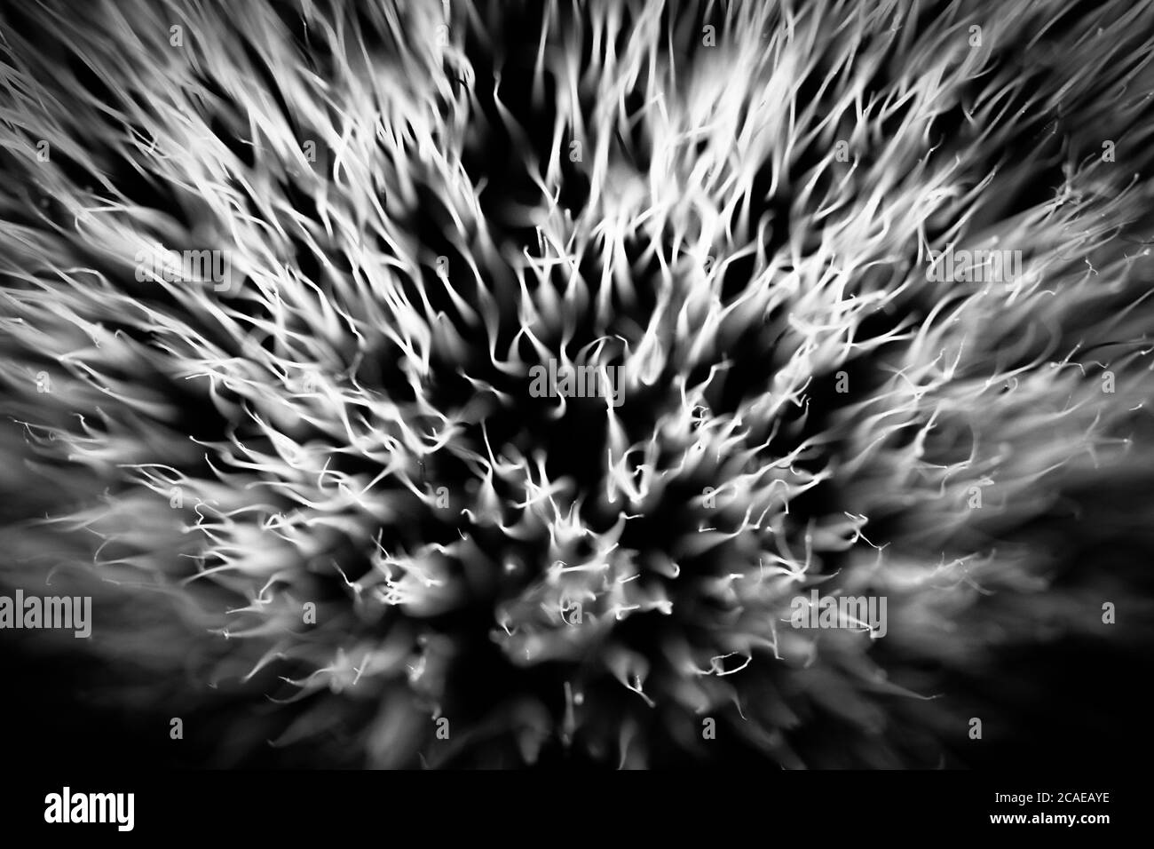 Pointy objects hi-res stock photography and images - Alamy