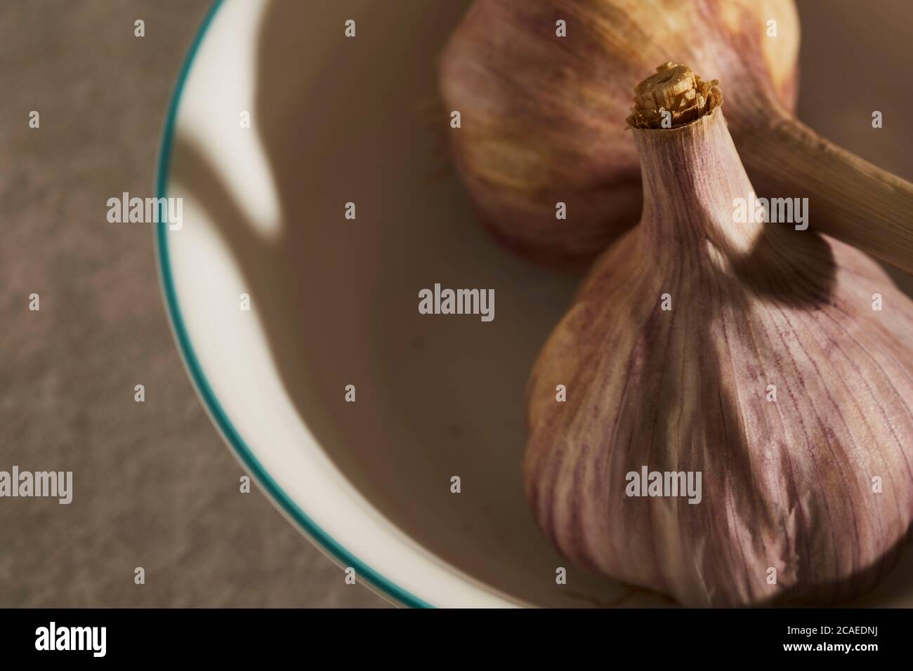 Garlic. Two whole heads of raw garlic from a farm in Lancaster County ...