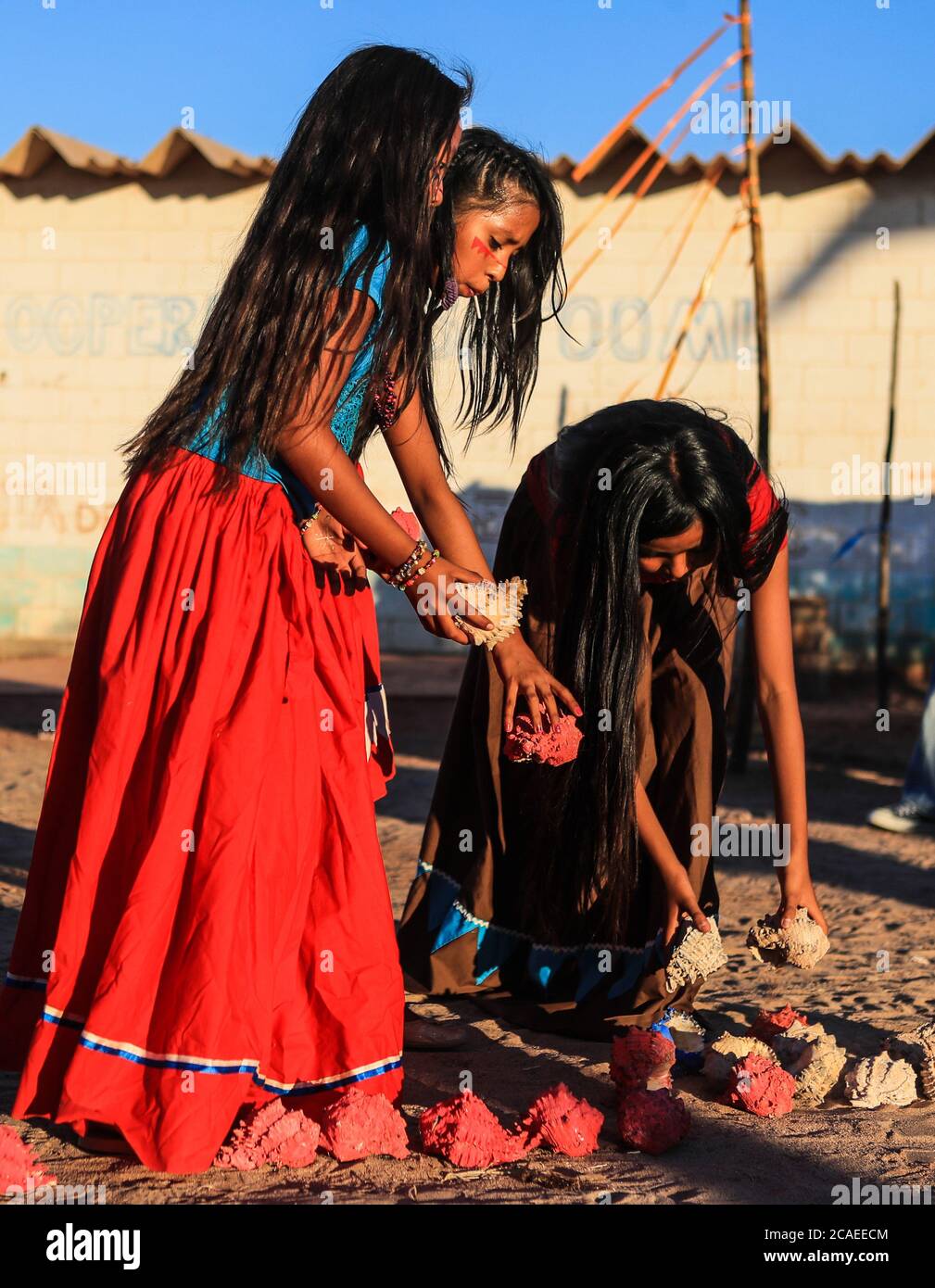 Seri girls will play a traditional game with sea snails during the Seri ...