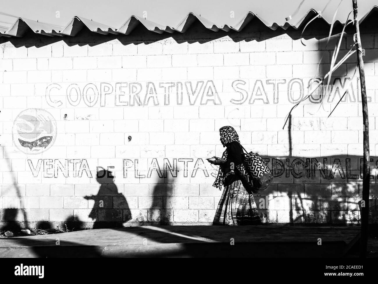 Celebration of the new year Seri in the indigenous community Punta ...