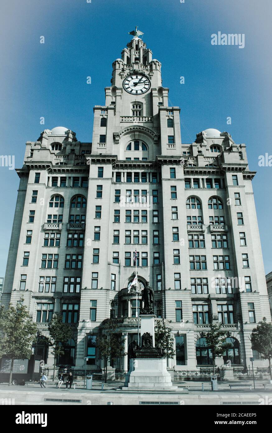 Liver mark hi-res stock photography and images - Alamy