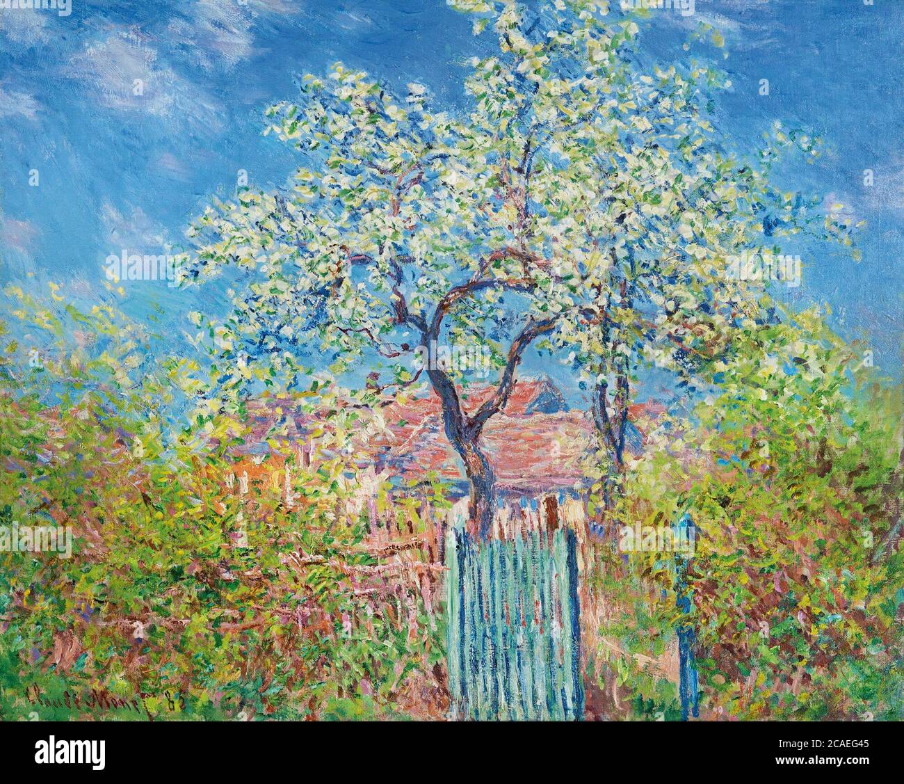 Pear art tree hi-res stock photography and images - Alamy