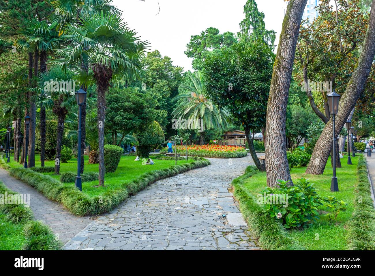 Batumi, Georgia - 04 August, 2020: Park with various trees at promenade ...