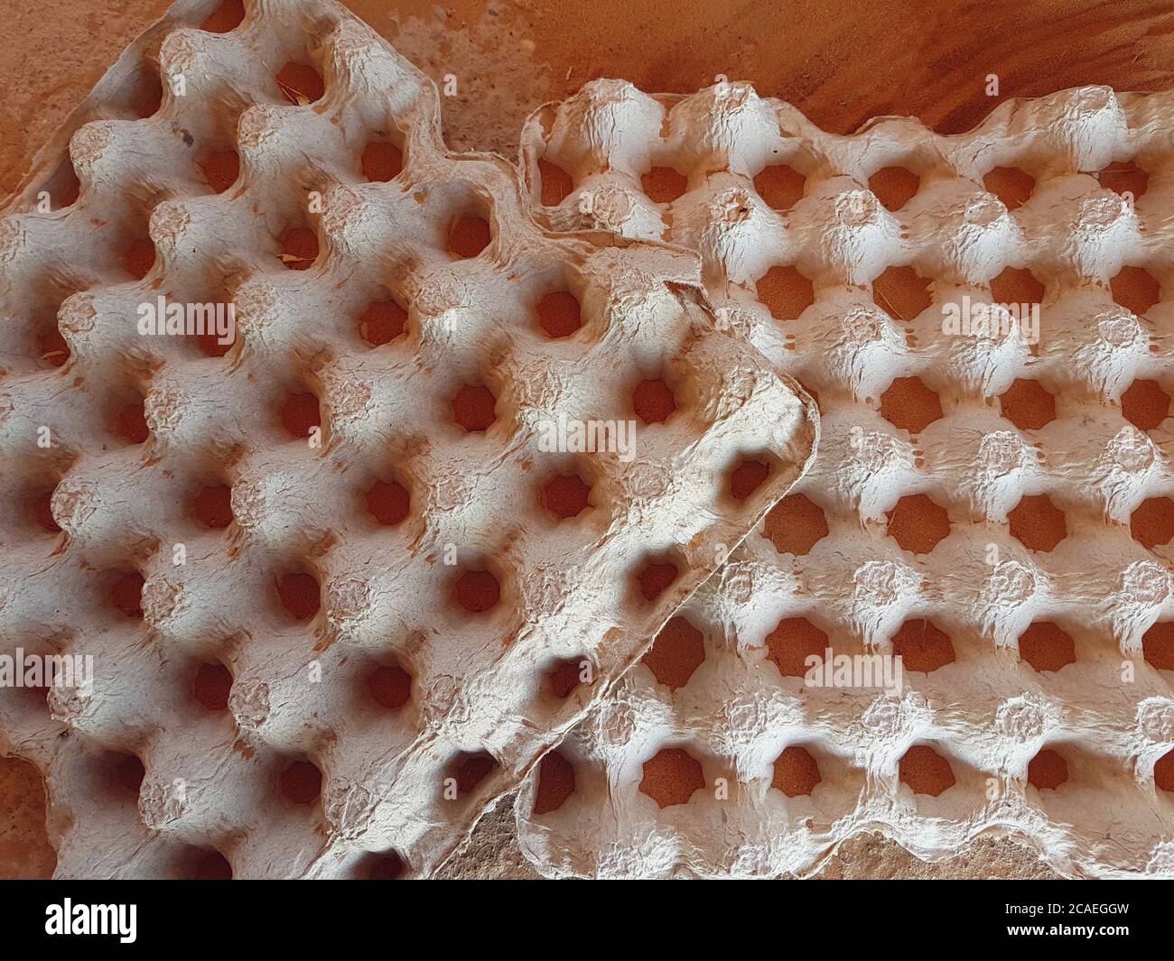 Empty cells for eggs on a pink wall background Stock Photo - Alamy
