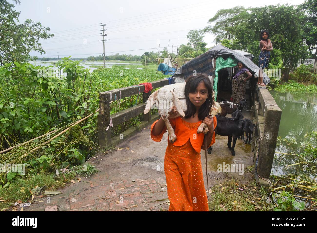 Flood affected people takes shelter with their pet animal on the bridge ...