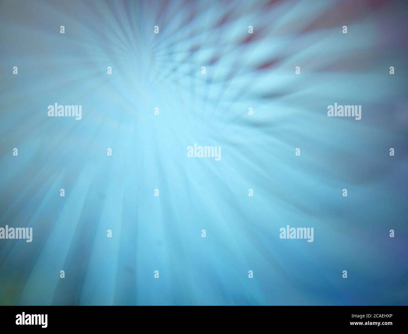 Beautiful lines element modern hi-res stock photography and images - Alamy