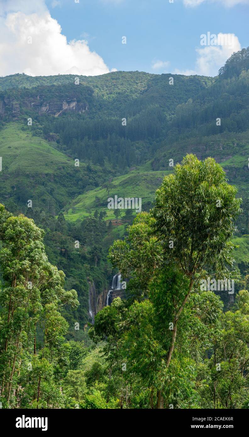 Giant tropical waterfall in the mountains, Sri Lanka. district of Kandy ...